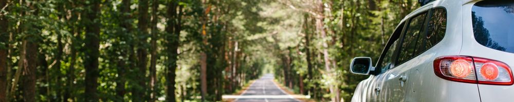 l Formulario 02 Registro Automotor ¿Cómo sacarlo? [GUÍA 2023]